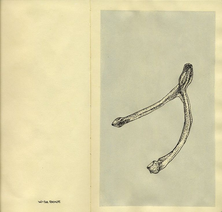 GNARLY SANTA CLAUS - “COMMONROOM”gnarly